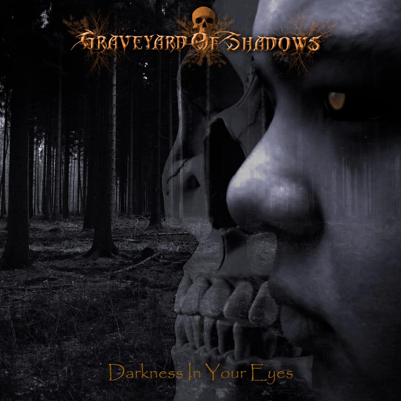 GRAVEYARD OF SHADOWS: reveladas curiosidades sobre novo single || MS ...